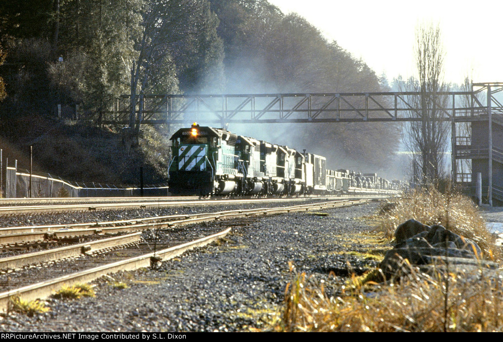 BN 6503 East @ Howarth Park